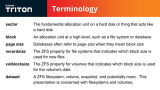 Raidz on-disk format vs. small blocks | PPT