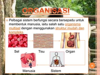 Manusia ialah Organisma Yang Kompleks | PPTX