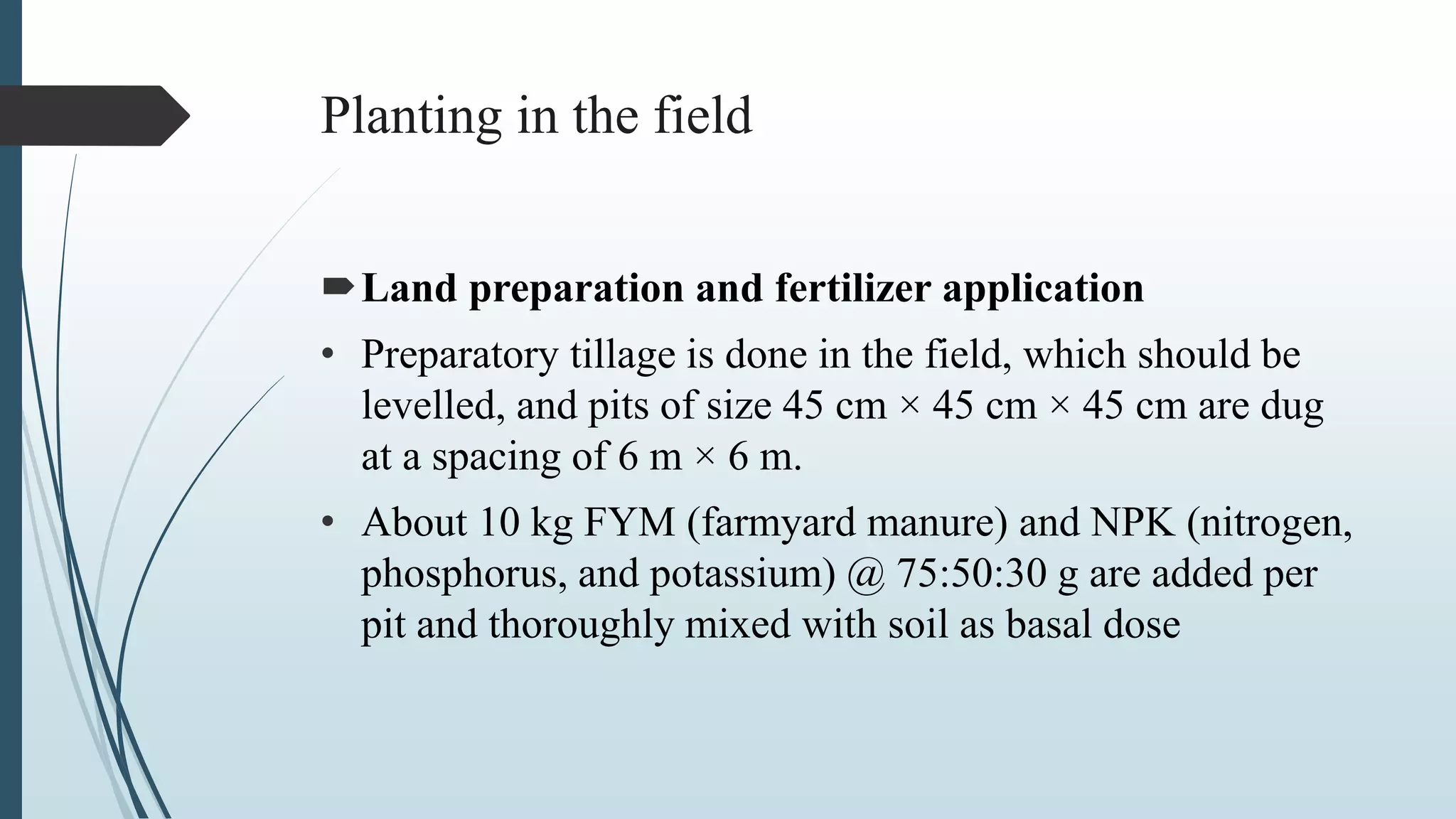 Cultivation procedure and prospects of Arjun (Terminalia arjuna) | PPTX