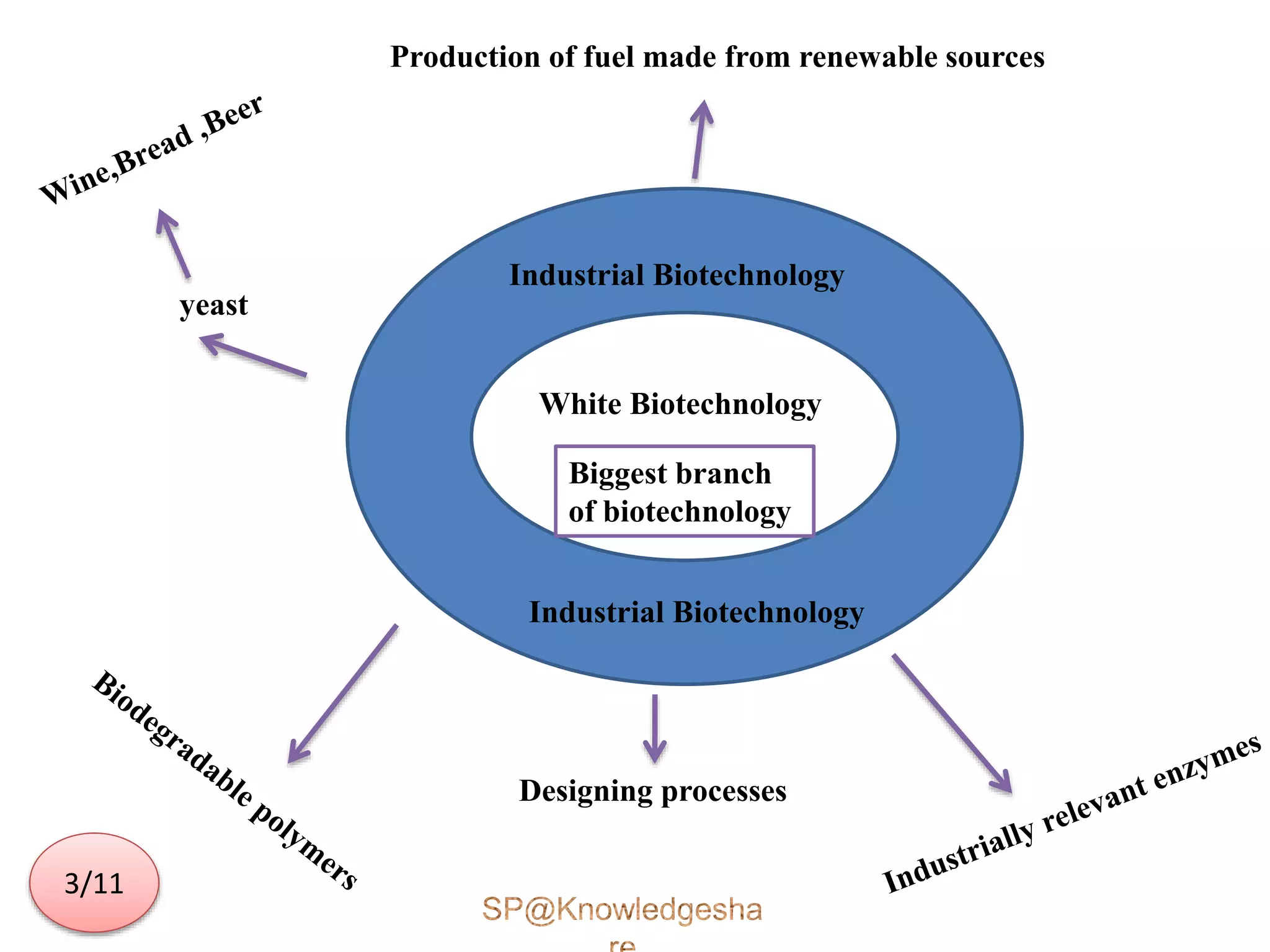 Rainbow code of biotechnology | PPTX