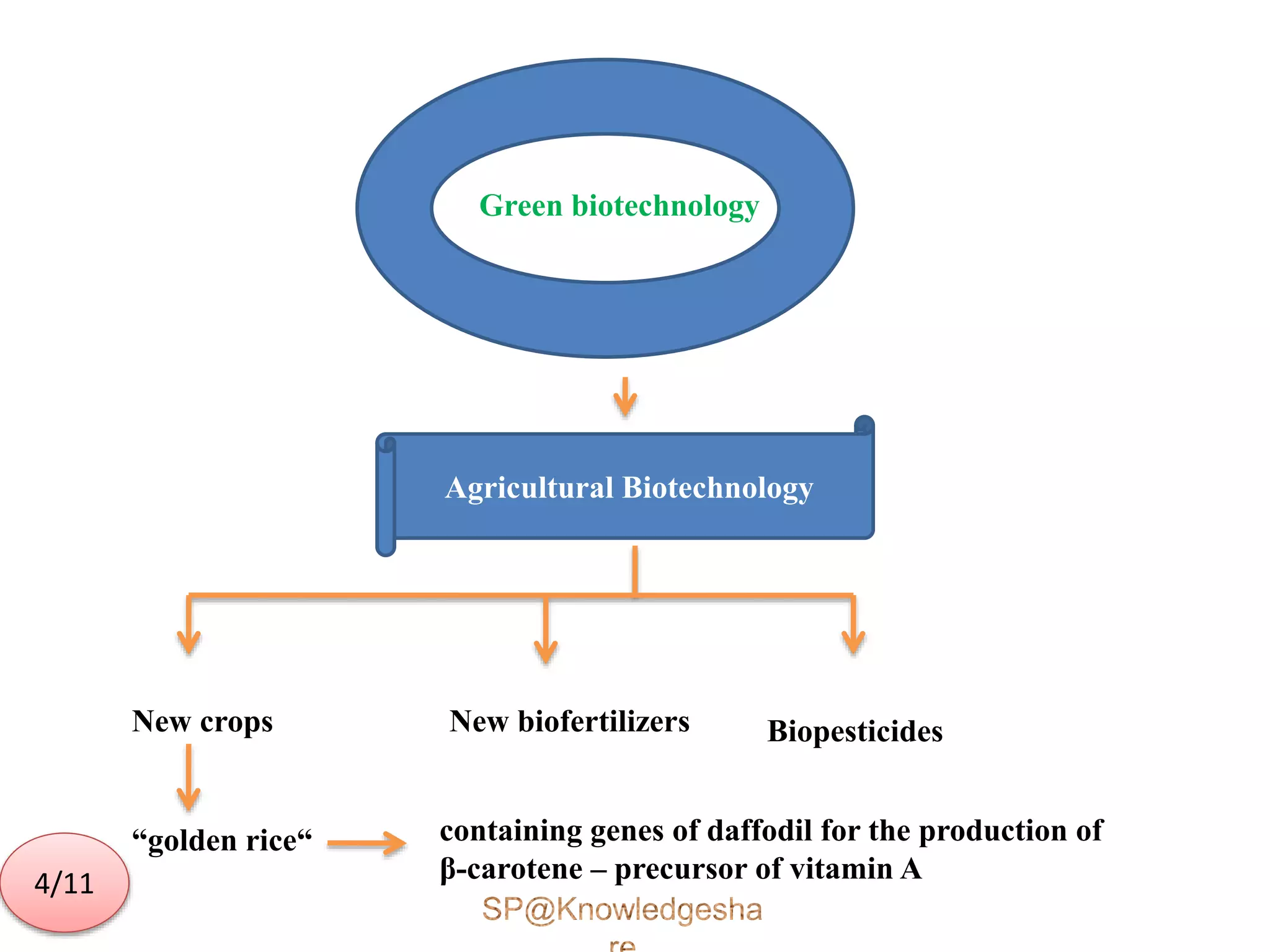 Rainbow code of biotechnology | PPTX
