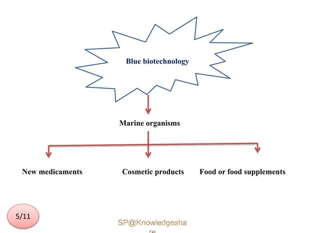 Rainbow code of biotechnology | PPTX