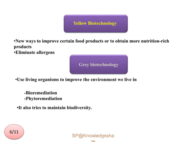 Rainbow code of biotechnology | PPTX