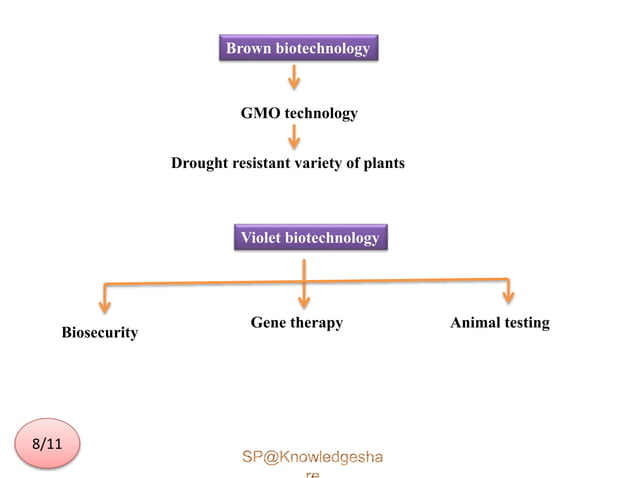 Rainbow code of biotechnology | PPTX