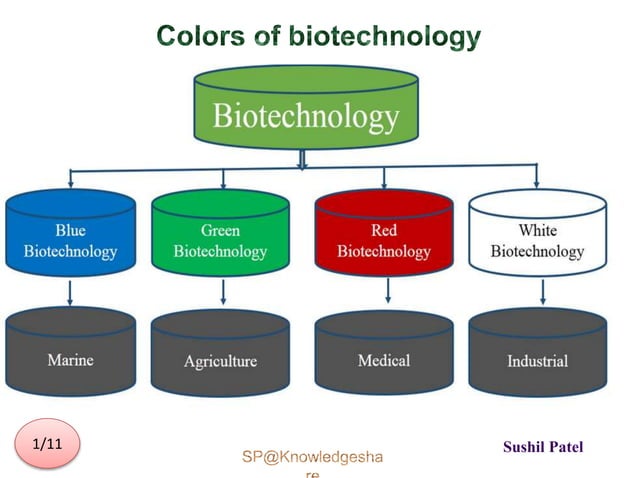 Rainbow code of biotechnology | PPT