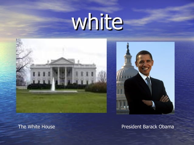 Rainbow Fish Game | PPT | Fish and Aquariums | Pets