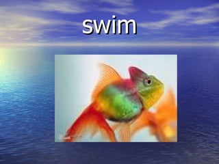Rainbow Fish Game | PPT