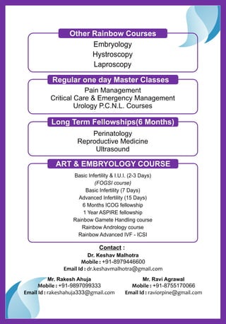 Rainbow insight training courses | PDF