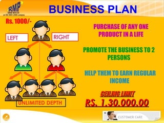 RMP Rainbow Plan | PPT | Business Administration | Business