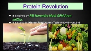 rainbow revolution.pptx