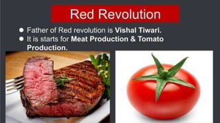 rainbow revolution.pptx