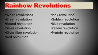 rainbow revolution.pptx