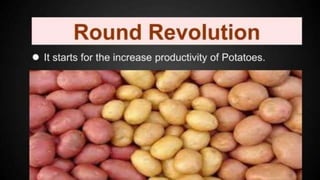 rainbow revolution.pptx