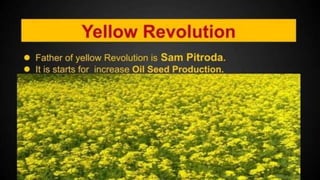 rainbow revolution.pptx