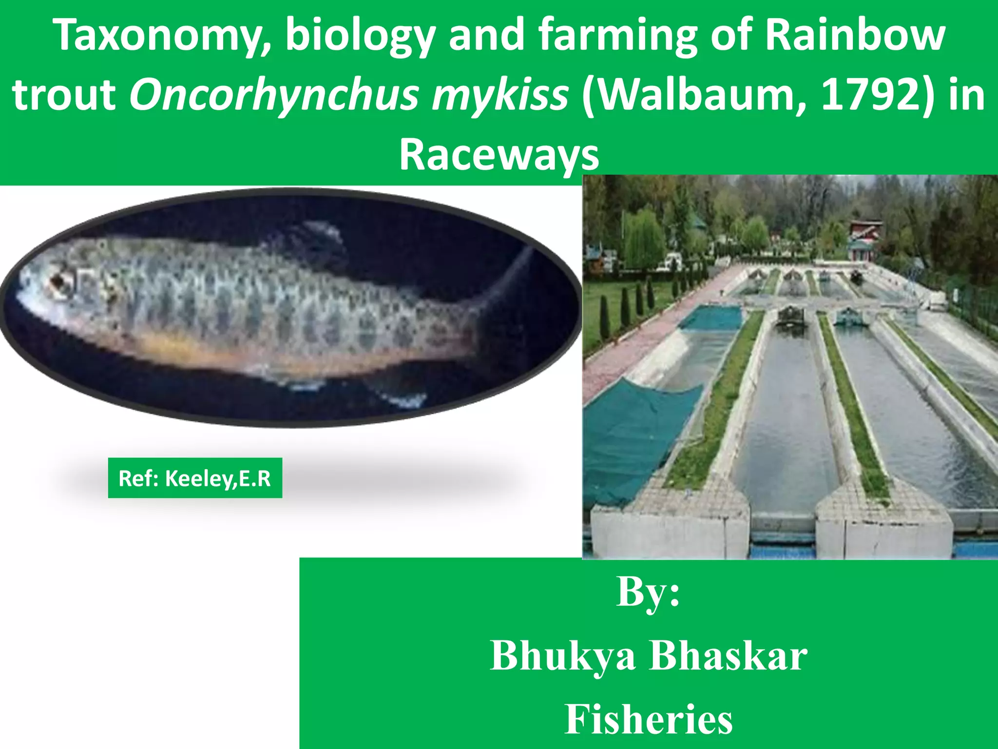 Rainbow Trout biology and farming by B.pptx