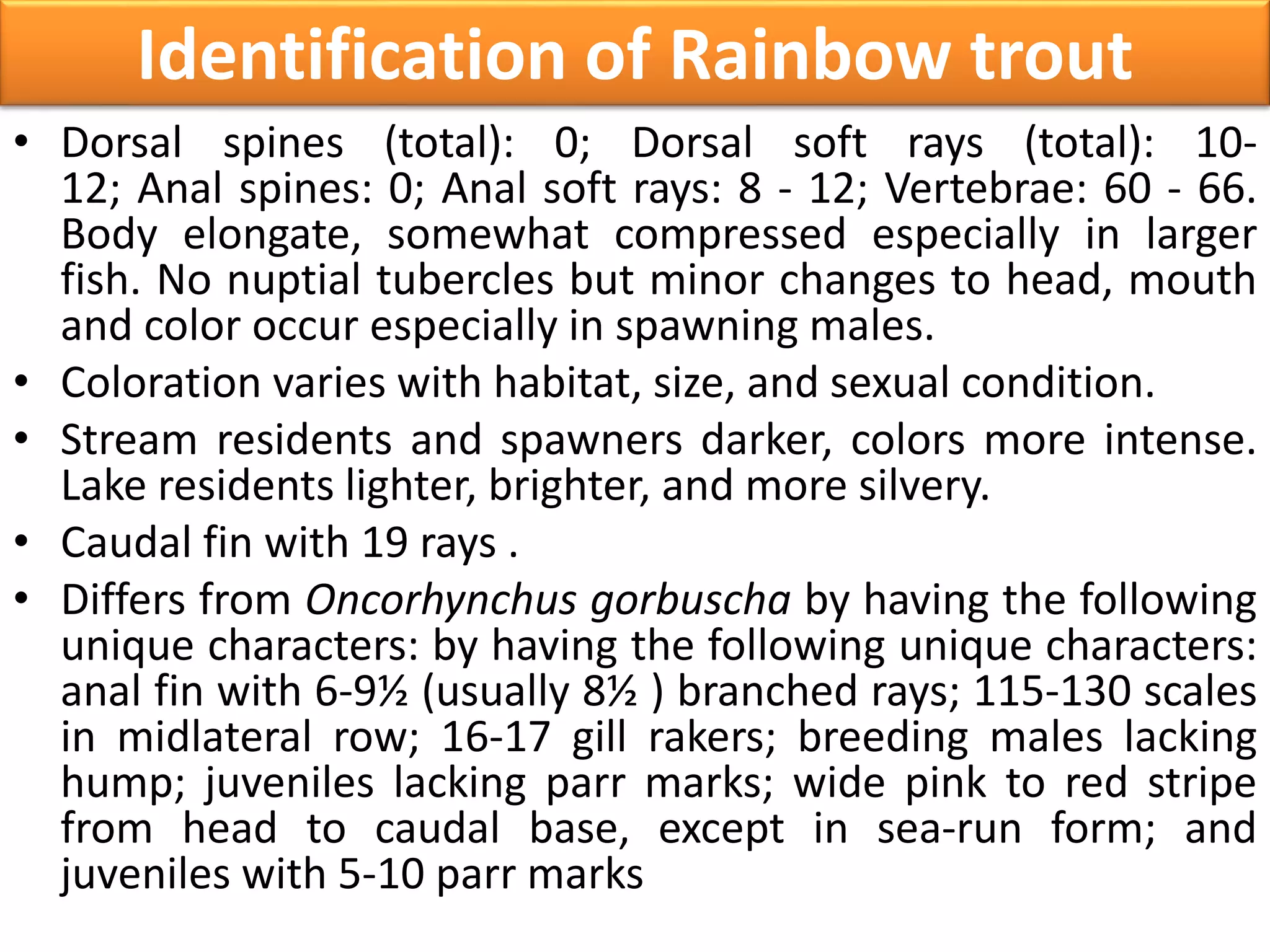 Rainbow Trout biology and farming by B.pptx