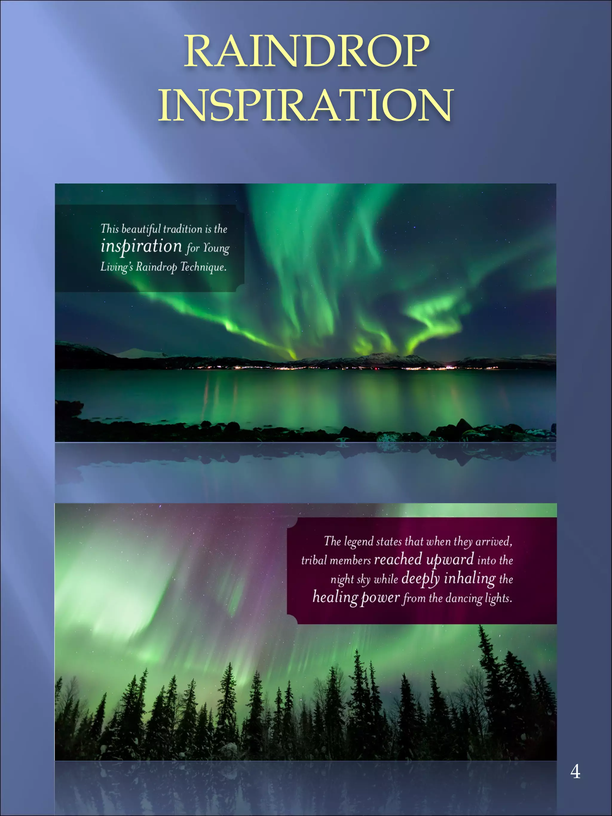 Raindrop Technique Protocol | PDF