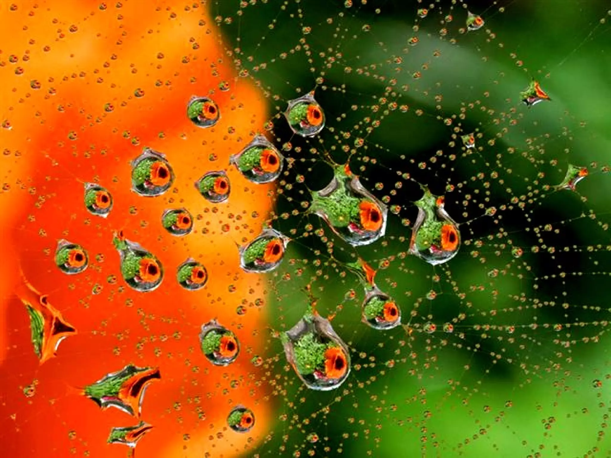 Rain drops powerpoint | PPS