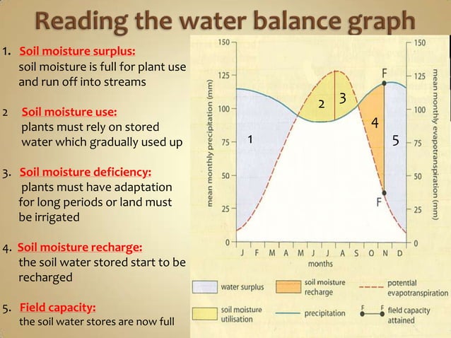 Rainfall – discharge relationship with drainage basins lesson 4 | PPTX ...