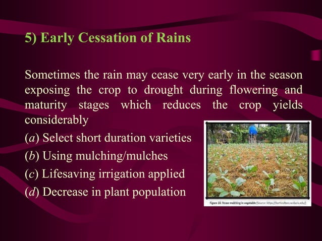 Rainfed agriculture lecture no1 | PPTX | Agriculture | Industries