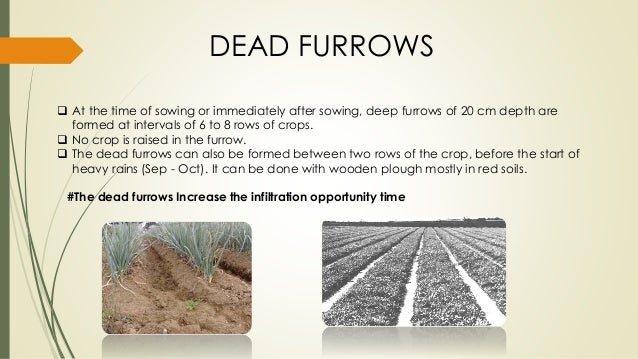 Soil and Water Conservation