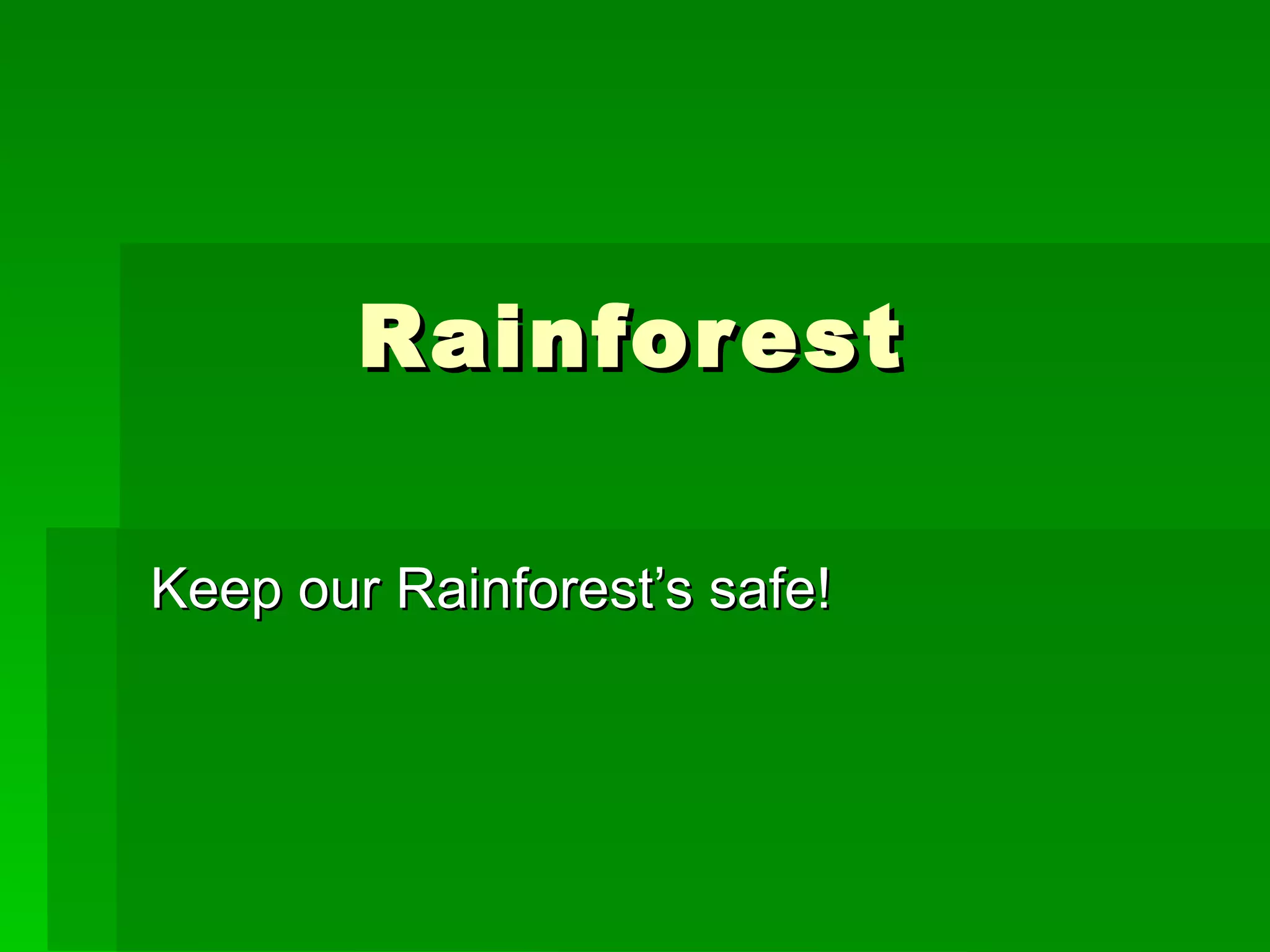 Rainforest | PPT