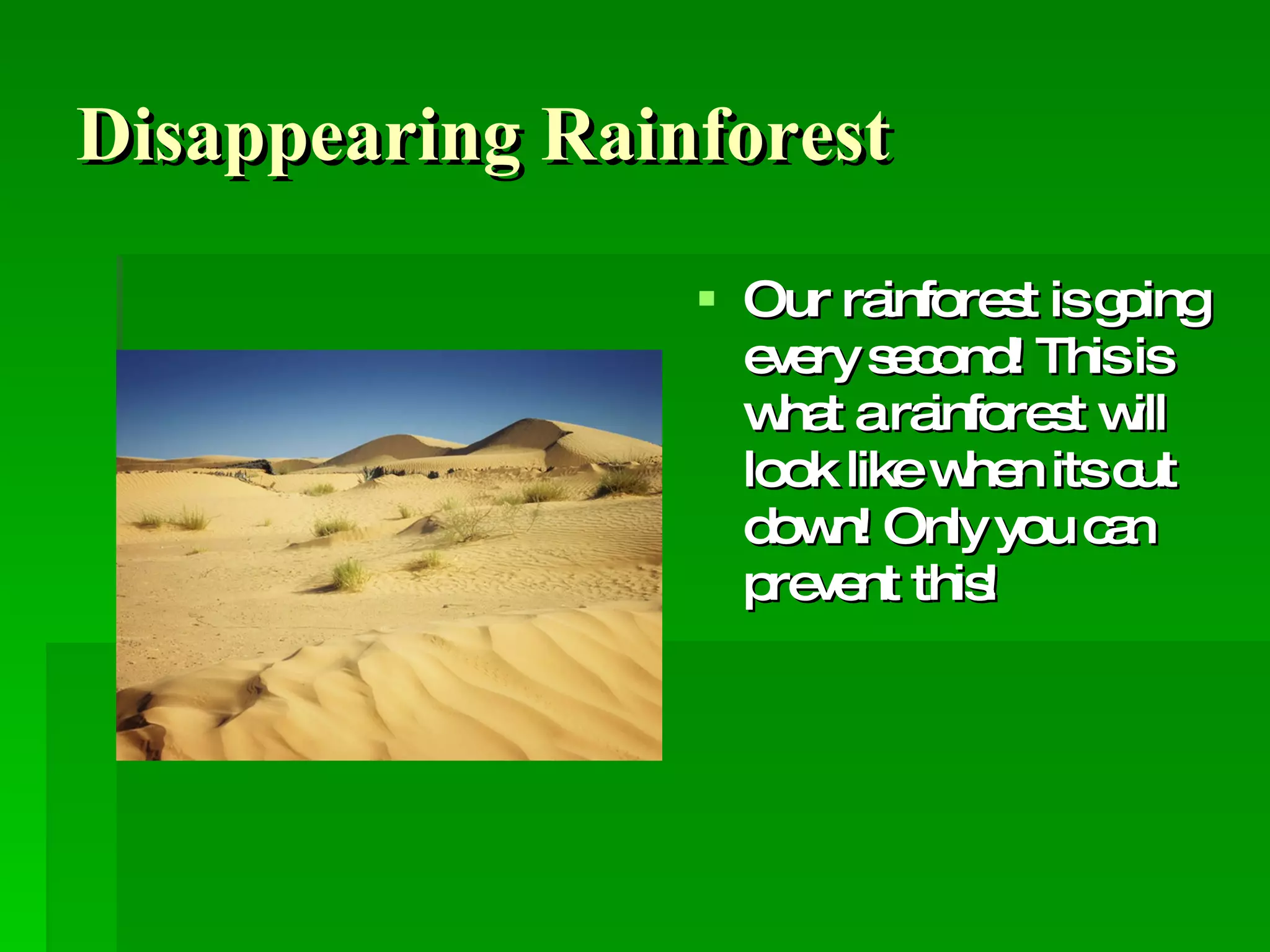Rainforest | PPT