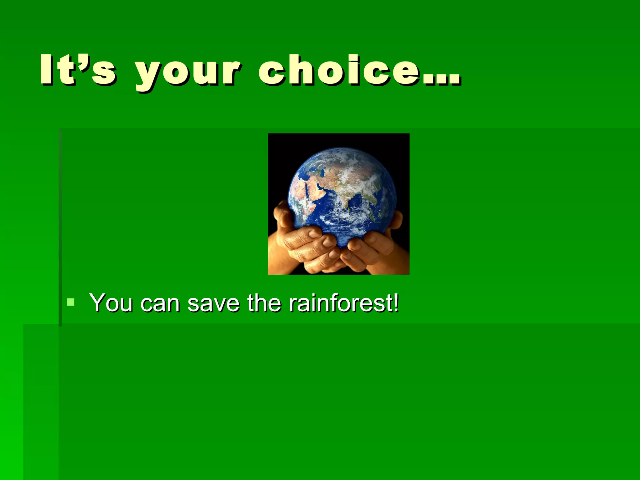 Rainforest | PPT