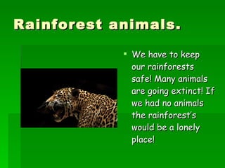 Rainforest | PPT