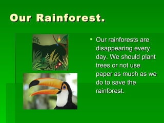 Rainforest | PPT