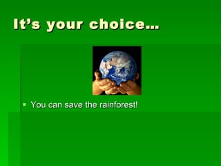 Rainforest | PPT