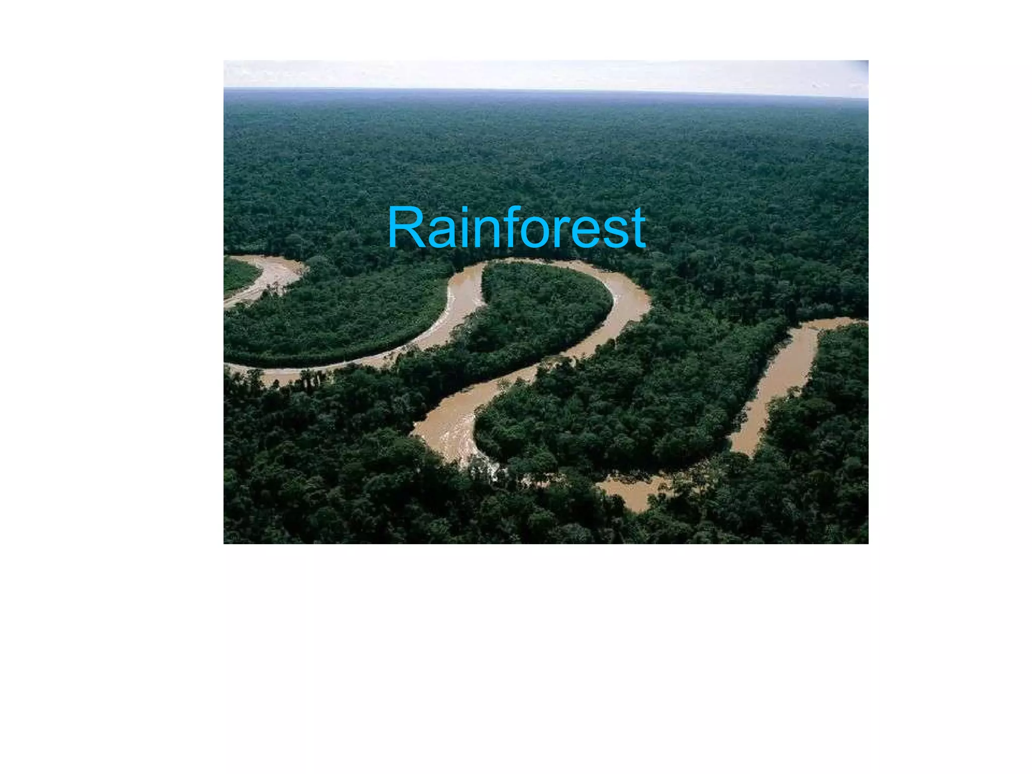 Rainforest Ecosystem | PPT | Zoos & Aquariums | Attractions