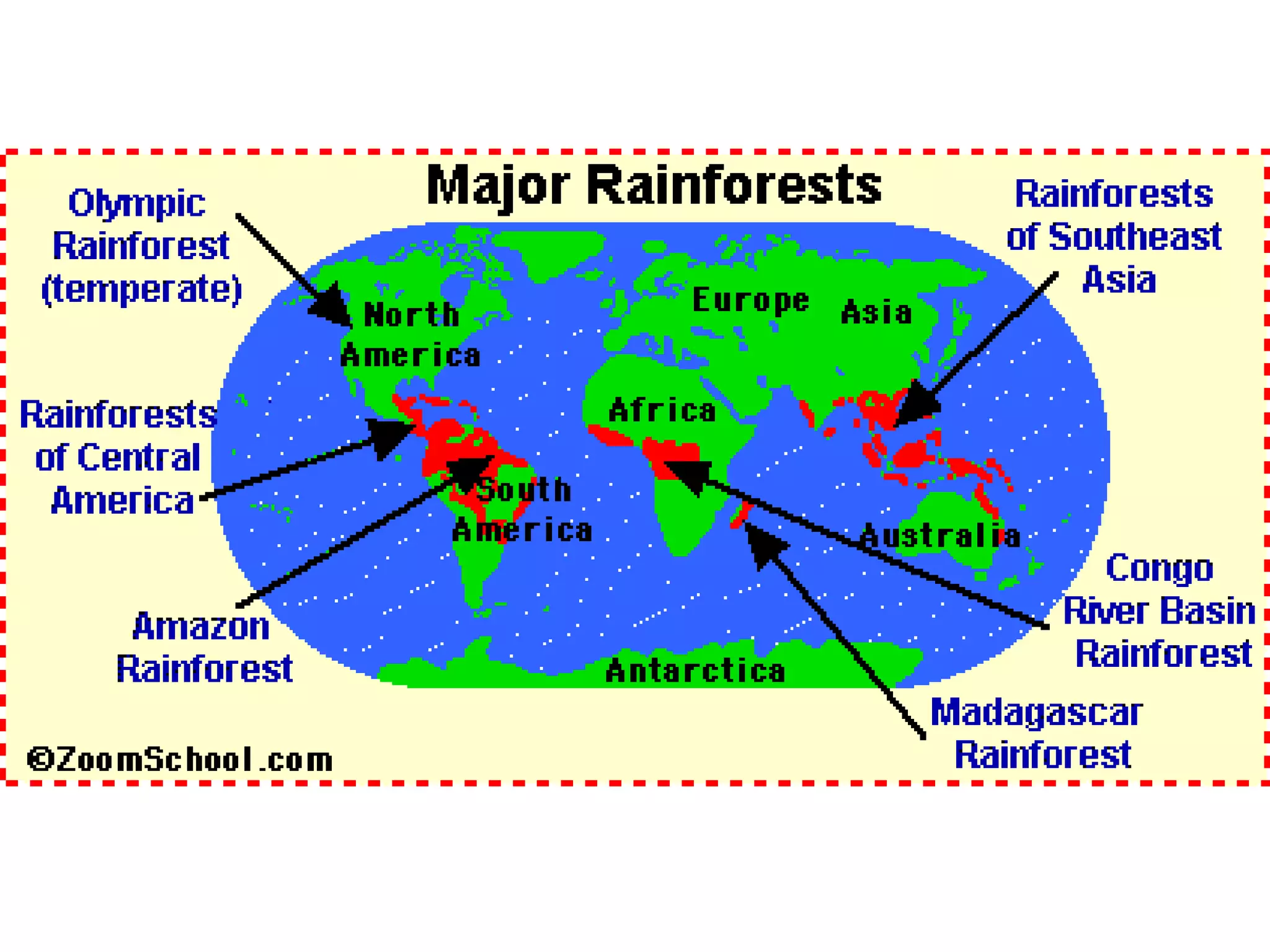 Rainforest Ecosystem | PPT | Zoos & Aquariums | Attractions