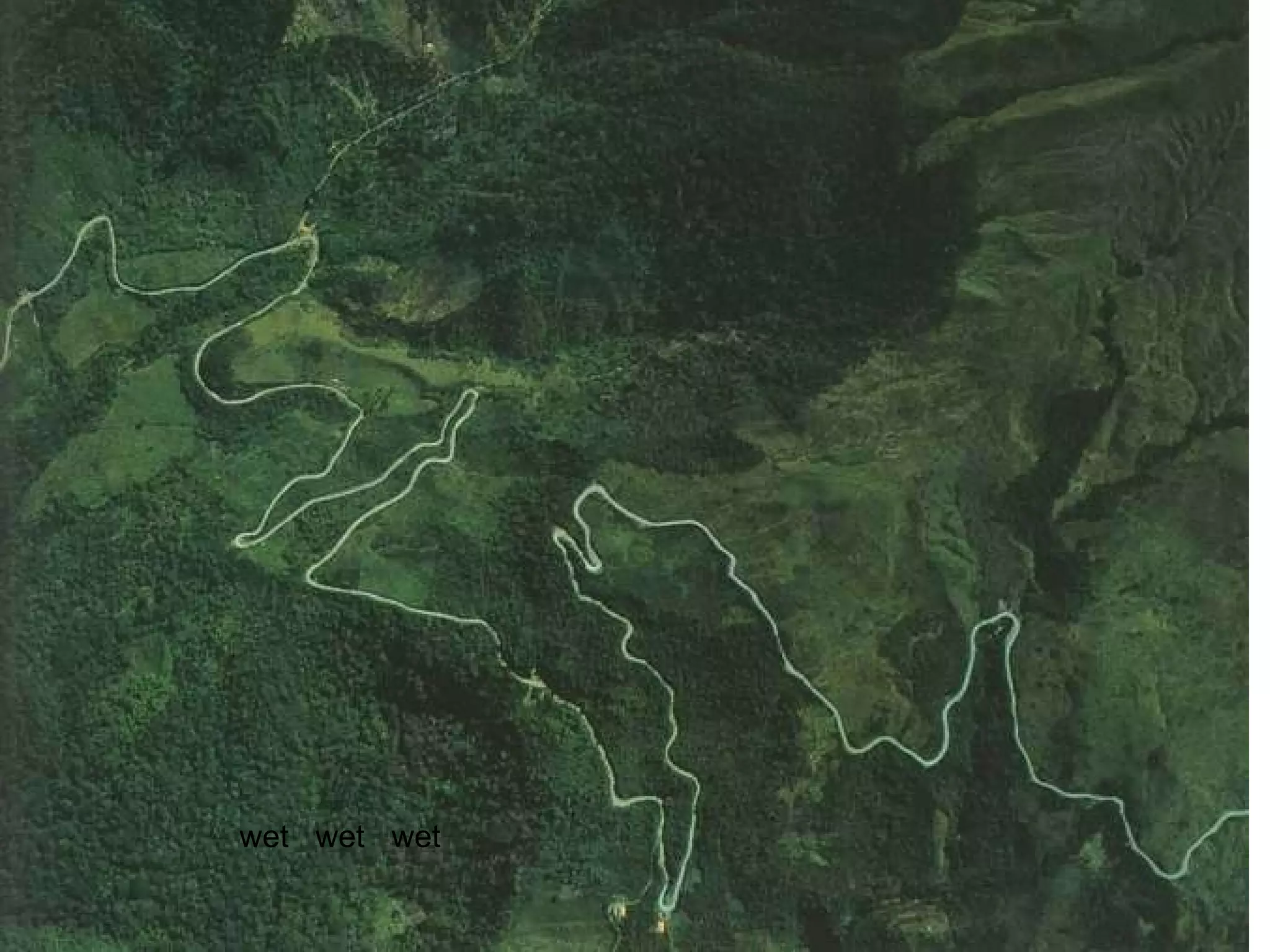 Rainforest Ecosystem | PPT | Zoos & Aquariums | Attractions