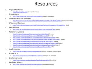 Rainforest | PPT