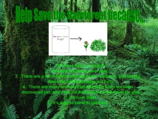 Rainforest =] | PPT