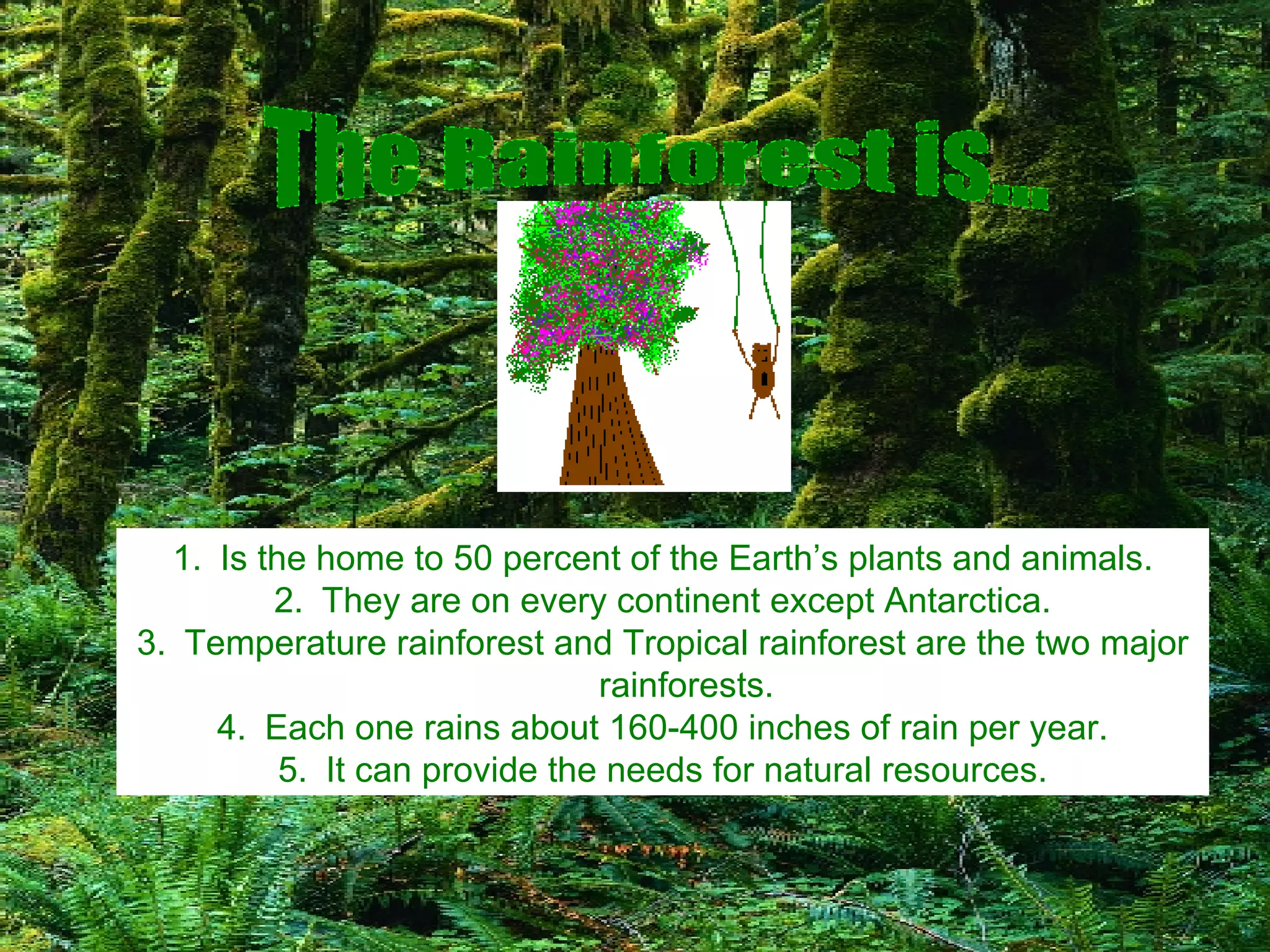 Rainforest =] | PPT
