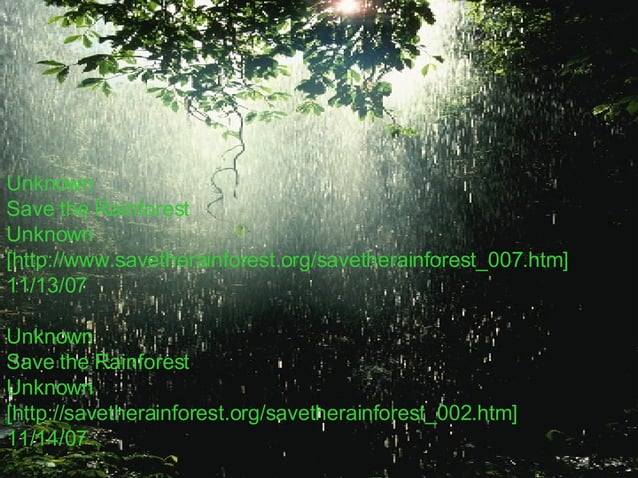 Rainforest =] | PPT