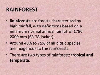 Rainforest | PPT