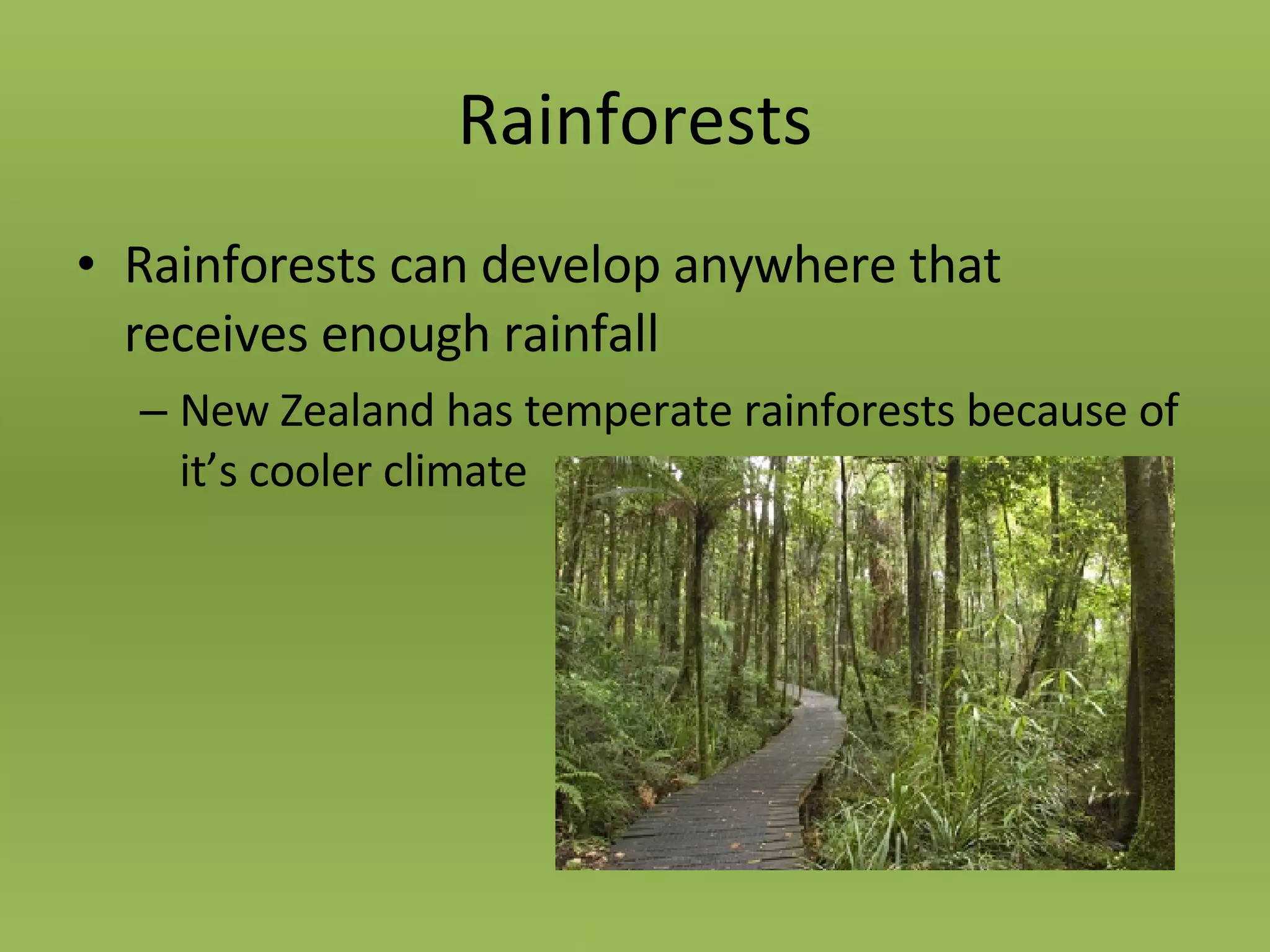 Rainforest | PPT