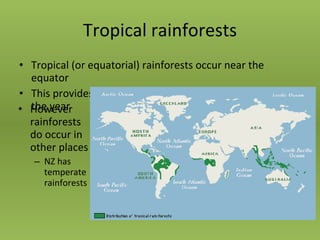 Rainforest | PPT