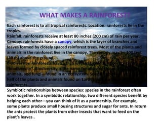 Rain forest | PPT