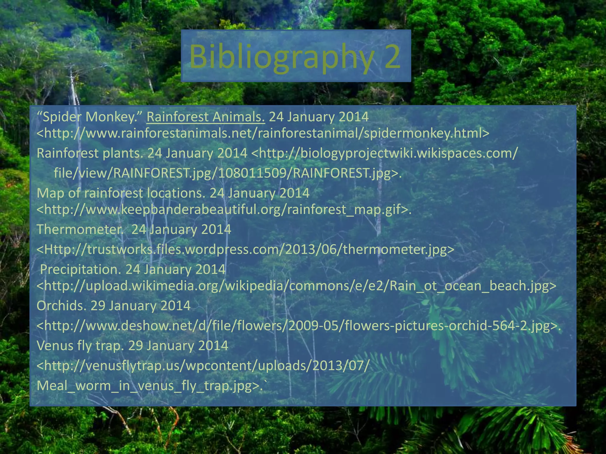 Rainforest by Mauricio & Will | PPTX