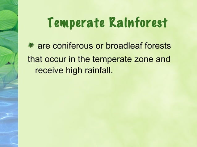 Rainforest | PPT