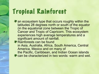 Rainforest | PPT