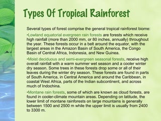 Rainforest | PPT