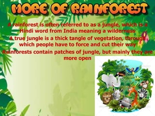 Rainforest | PPT