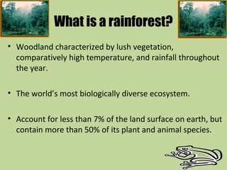 Rainforests - The Amazon Rainforest | PPT