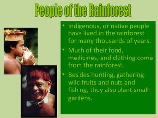 Rainforests - The Amazon Rainforest | PPT