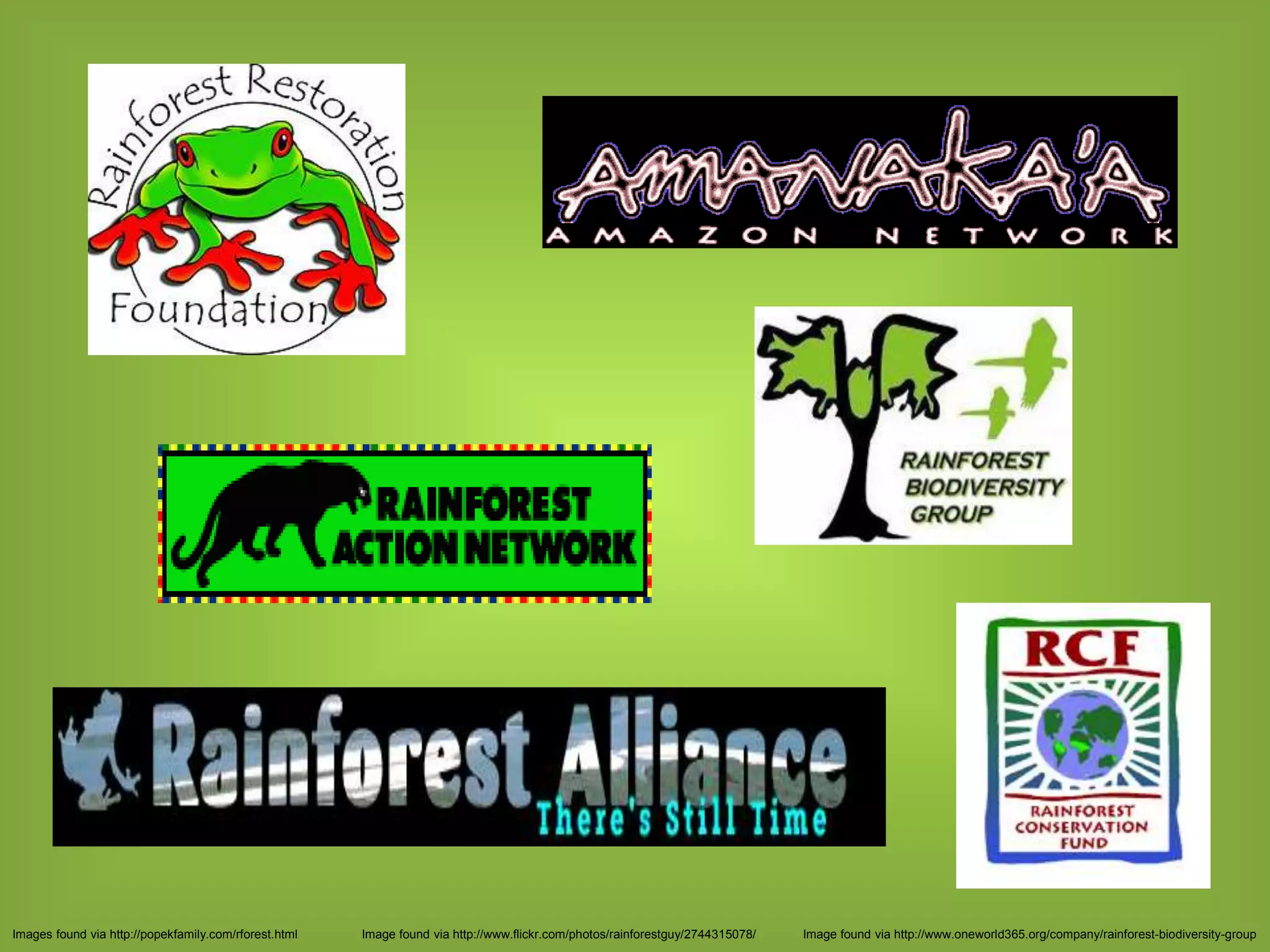 Saving the Rainforest | PPTX